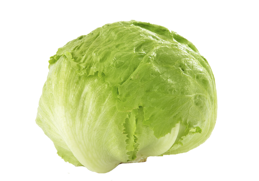 Lechuga Hulk Life Seed